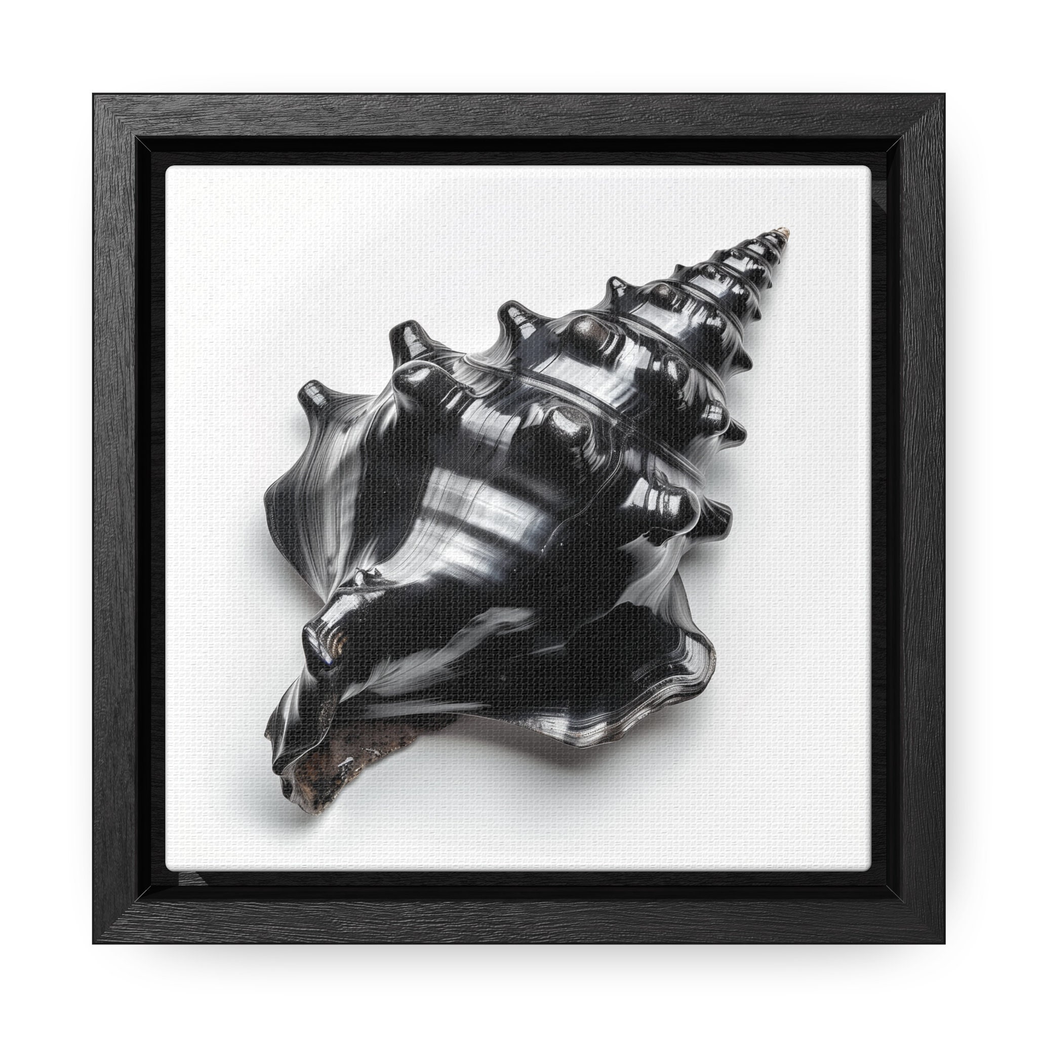 Conch Sea Shell Wall Art Black and White Conch Sea Shell Wall Art Sea ...