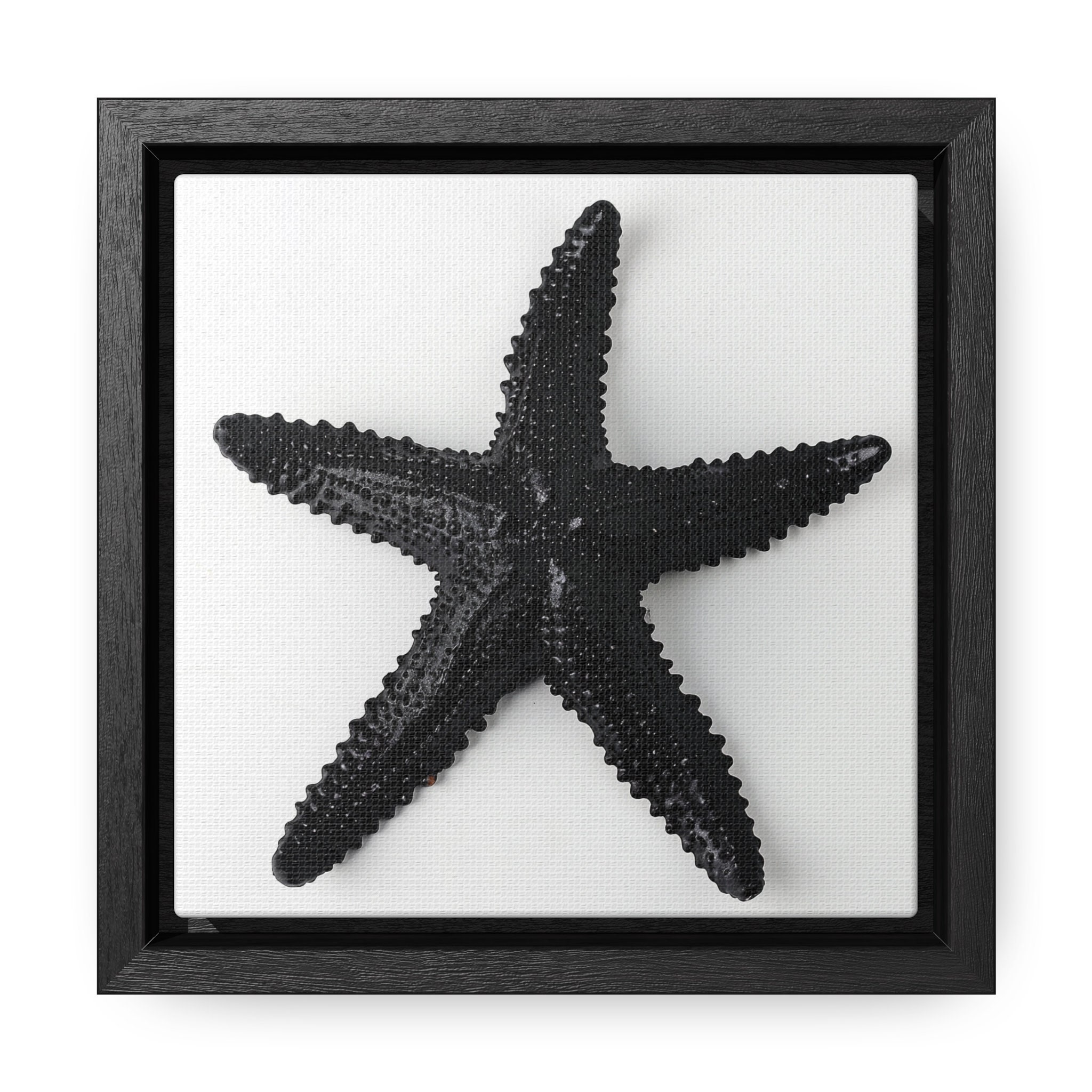 Starfish Wall Art Black and White Starfish Wall Art Sea Themed Wall Art ...