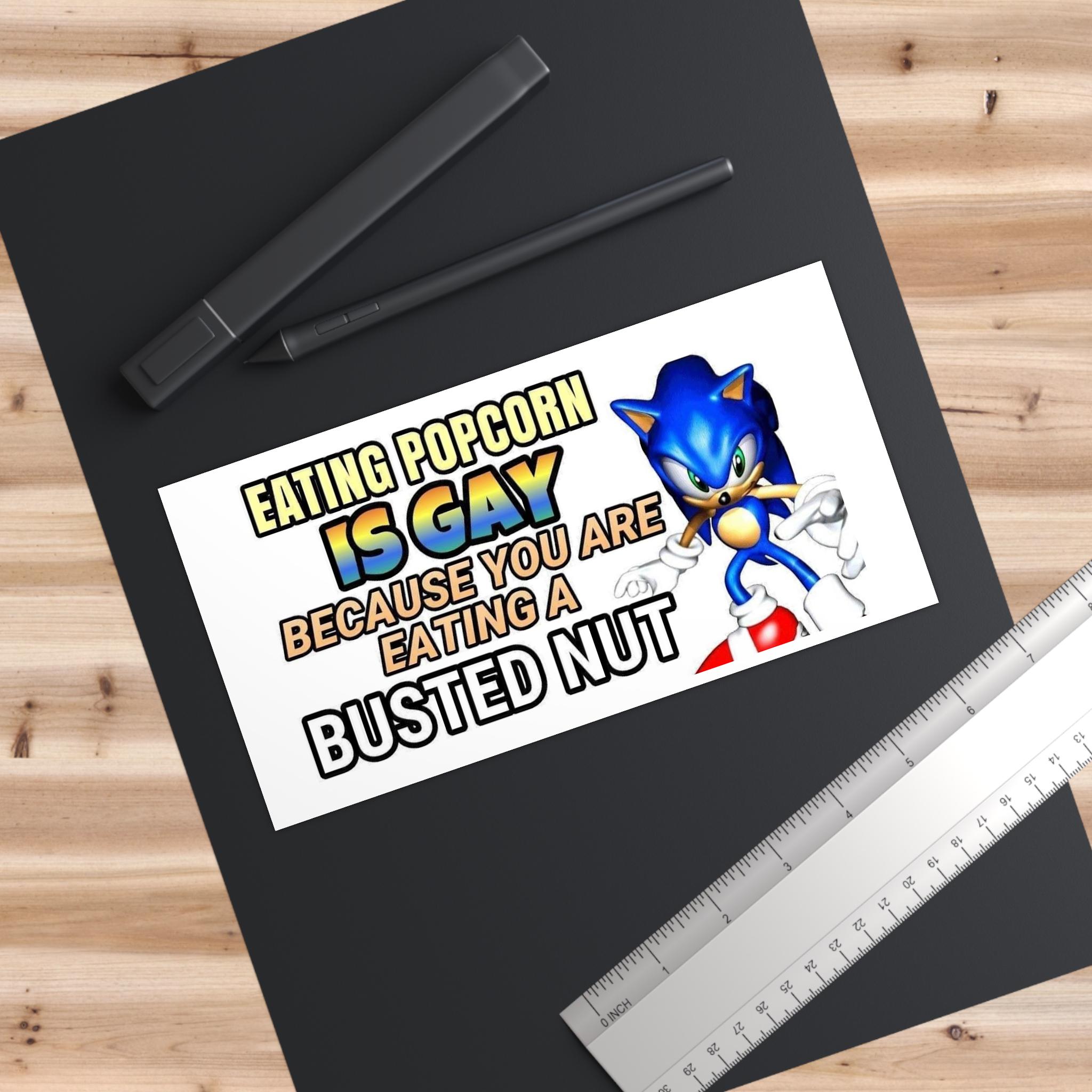 Busted Nut - Sonic the Hedgehog - Funny Custom Bumper Sticker - Etsy