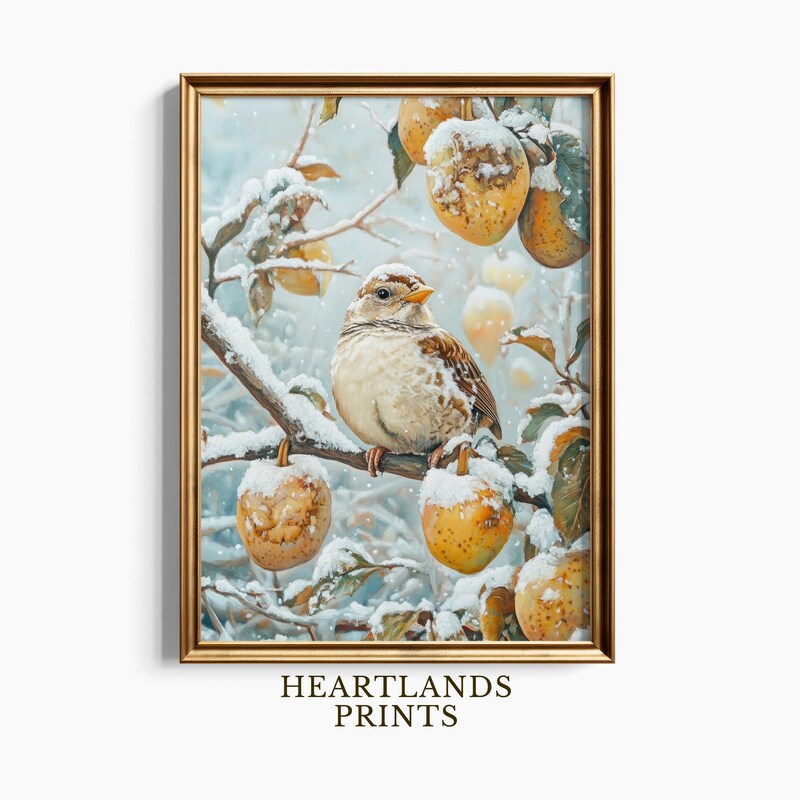 Partridge Pear Tree - Etsy