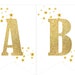 Instant Download Printable Digital Party Bunting Banner, Gold Letters ...
