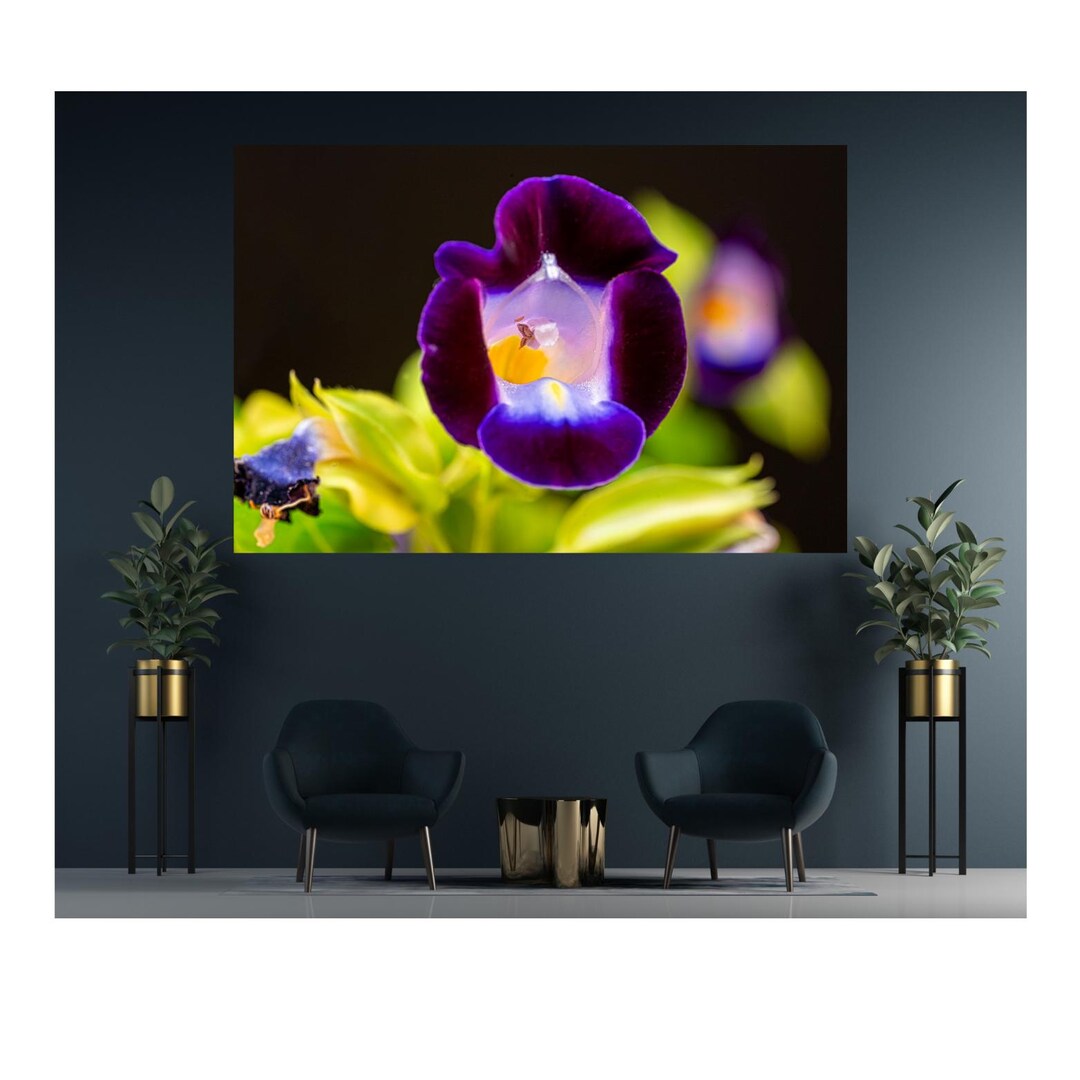 Deep Blue Torenia Wishbone, Wishbone Photography, Wishbone Flower Print ...