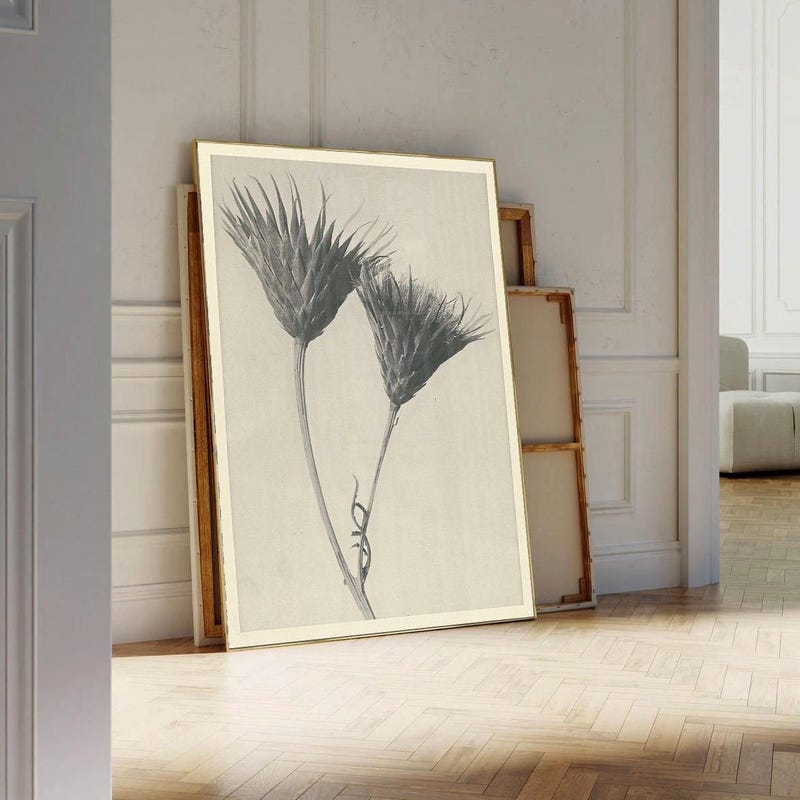 1920s Nature Print - Etsy