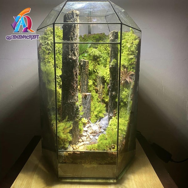 Desktop Terrarium - Etsy