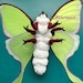 Luna Moth Realistic Crochet Pattern - Etsy