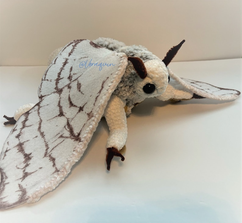 Silk Moth Realistic Crochet Pattern - Etsy