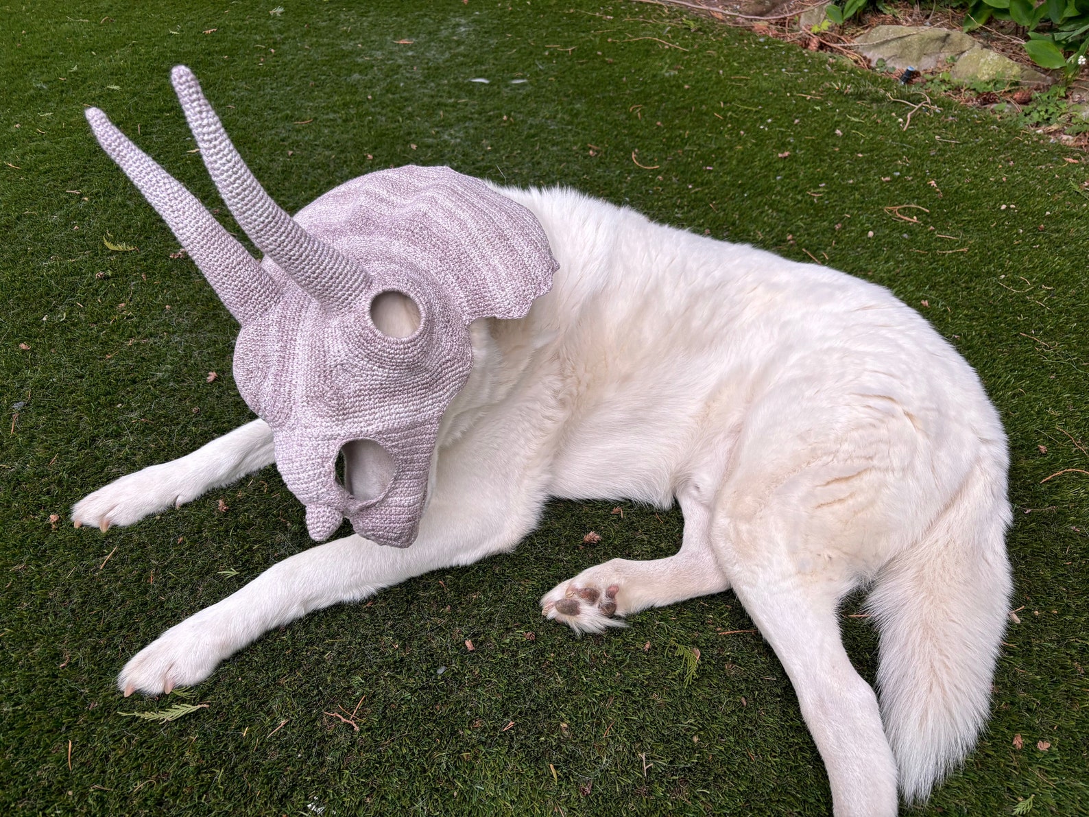 Chomp- Triceratops Skull Crochet Pattern - Etsy