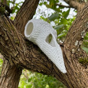 Nevermore - Raven Skull Crochet Pattern - Etsy