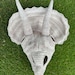 Chomp- Triceratops Skull Crochet Pattern - Etsy
