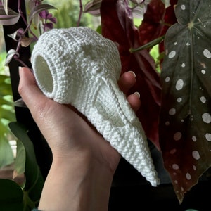 Nevermore - Raven Skull Crochet Pattern - Etsy