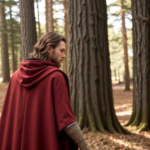 Medieval Vintage Hooded Red Cloak, Viking Long Cape Poncho for Men ...