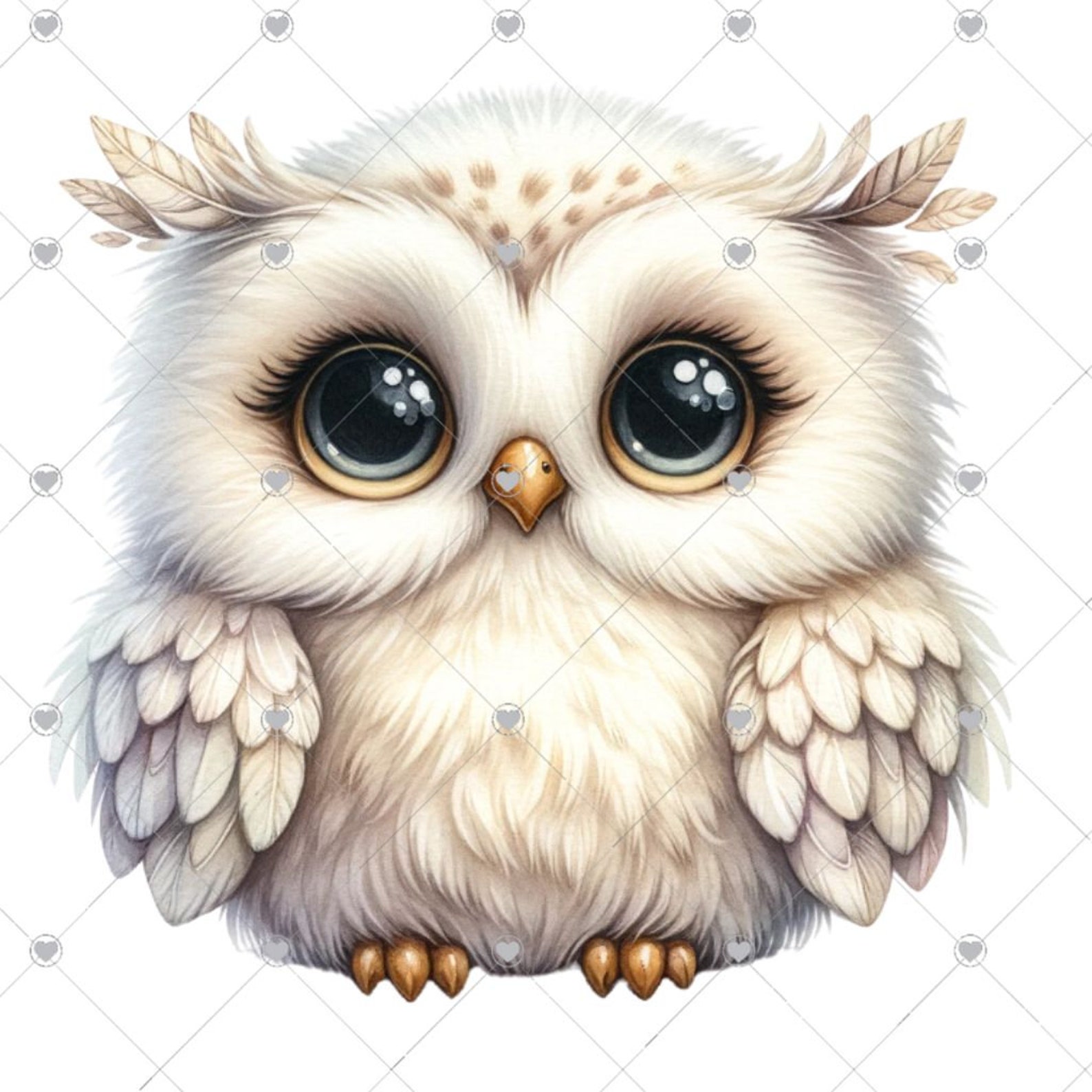 Owl PNG Clipart Bundle, Baby Shower Graphics (digital Download) - Etsy