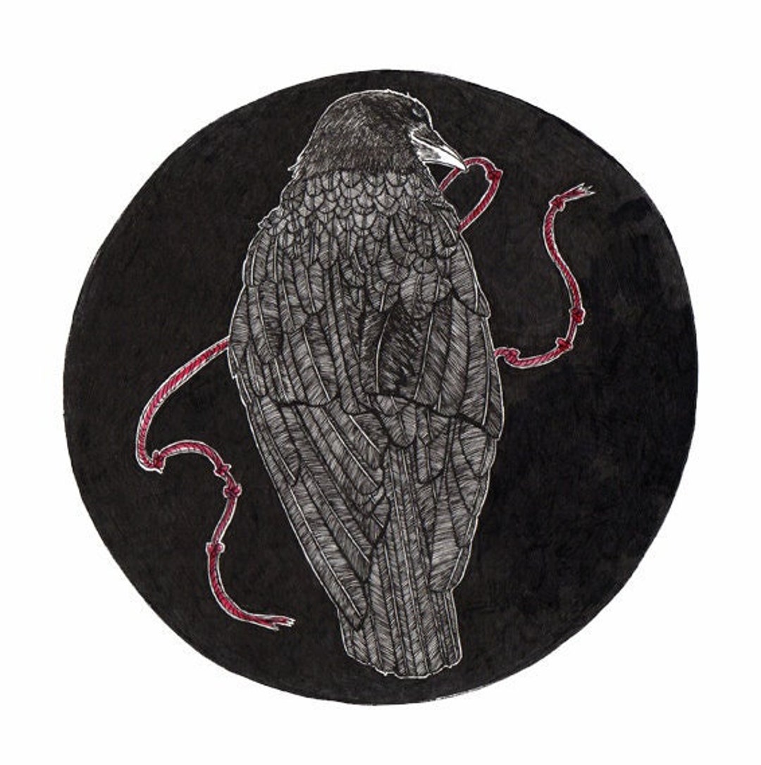 Crow With a Red String ORIGINAL Artwork Ink Drawing on Paper 8 X 8 - Etsy