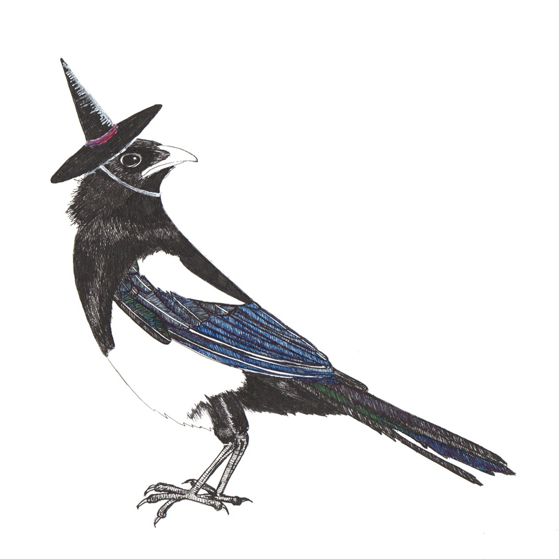Magpie Wearing a Witch's Hat ORIGINAL Artwork Archival Black Ink ...