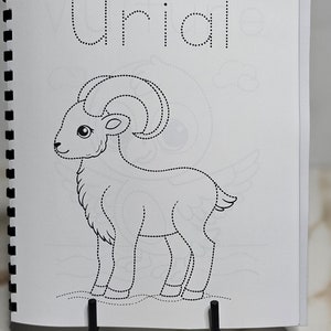 Custom Name Kids Animal Tracing Book - Etsy
