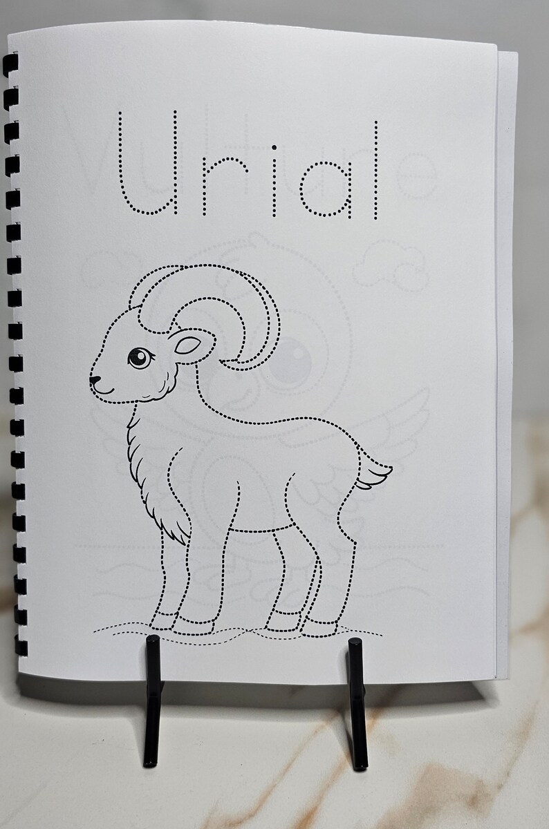 Custom Name Kids Animal Tracing Book - Etsy