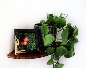 Handmade Upcycled Frame - Etsy