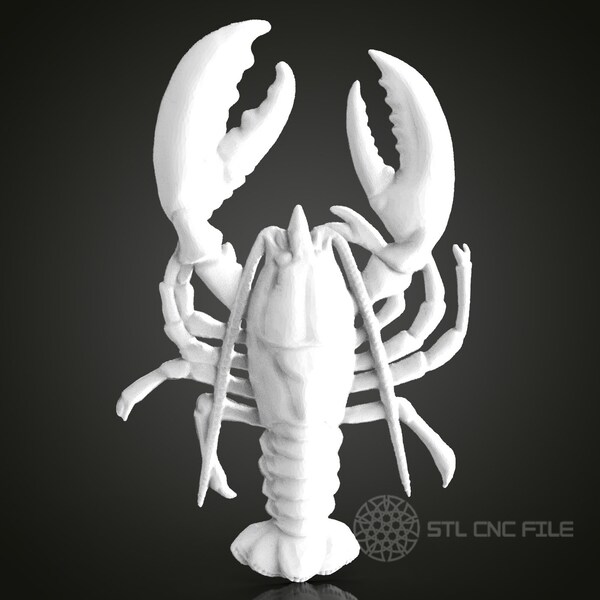 Sea Creature Stl - Etsy