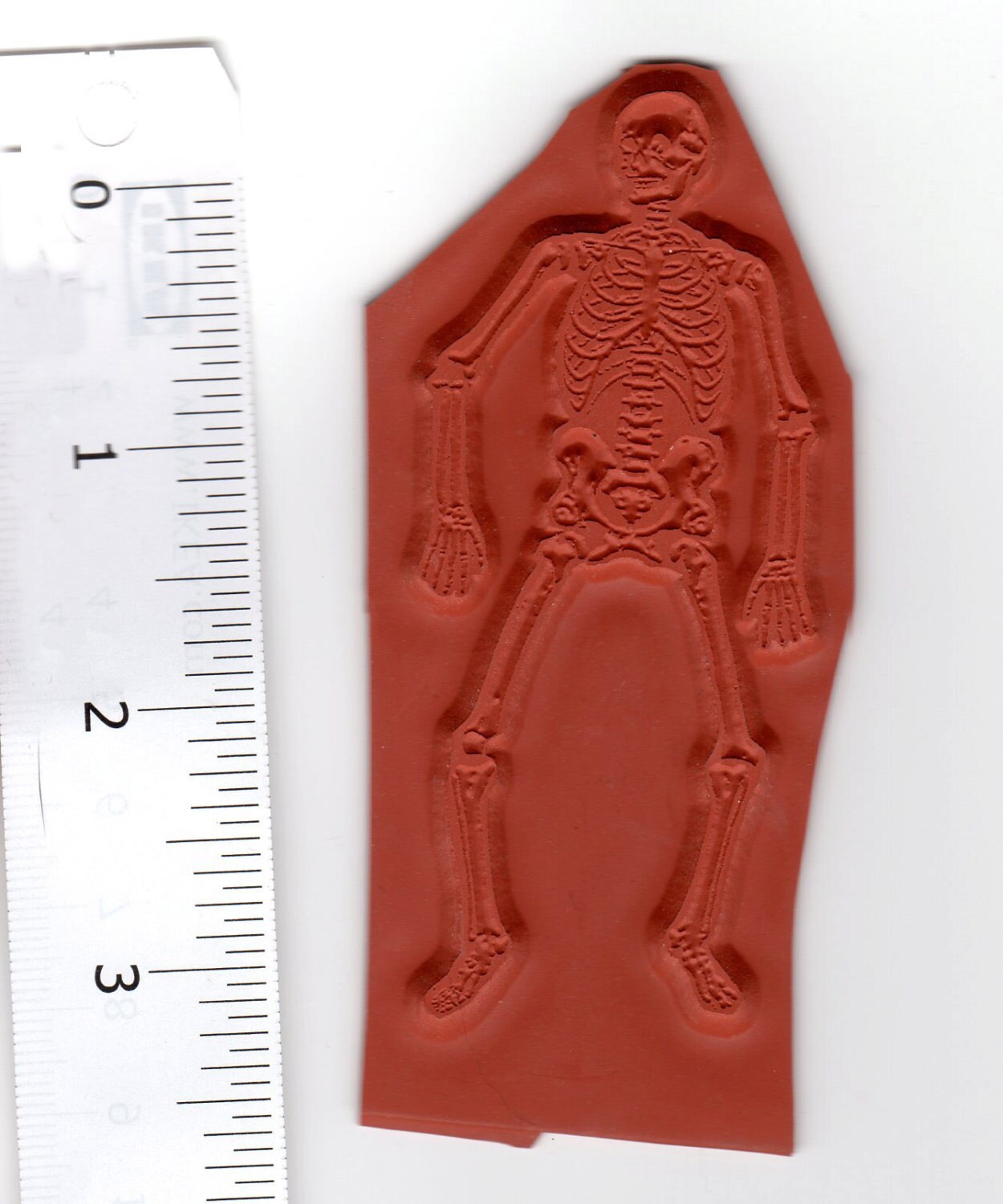 Skeleton-large Red Rubber Stamp-original Design 00630 | Etsy