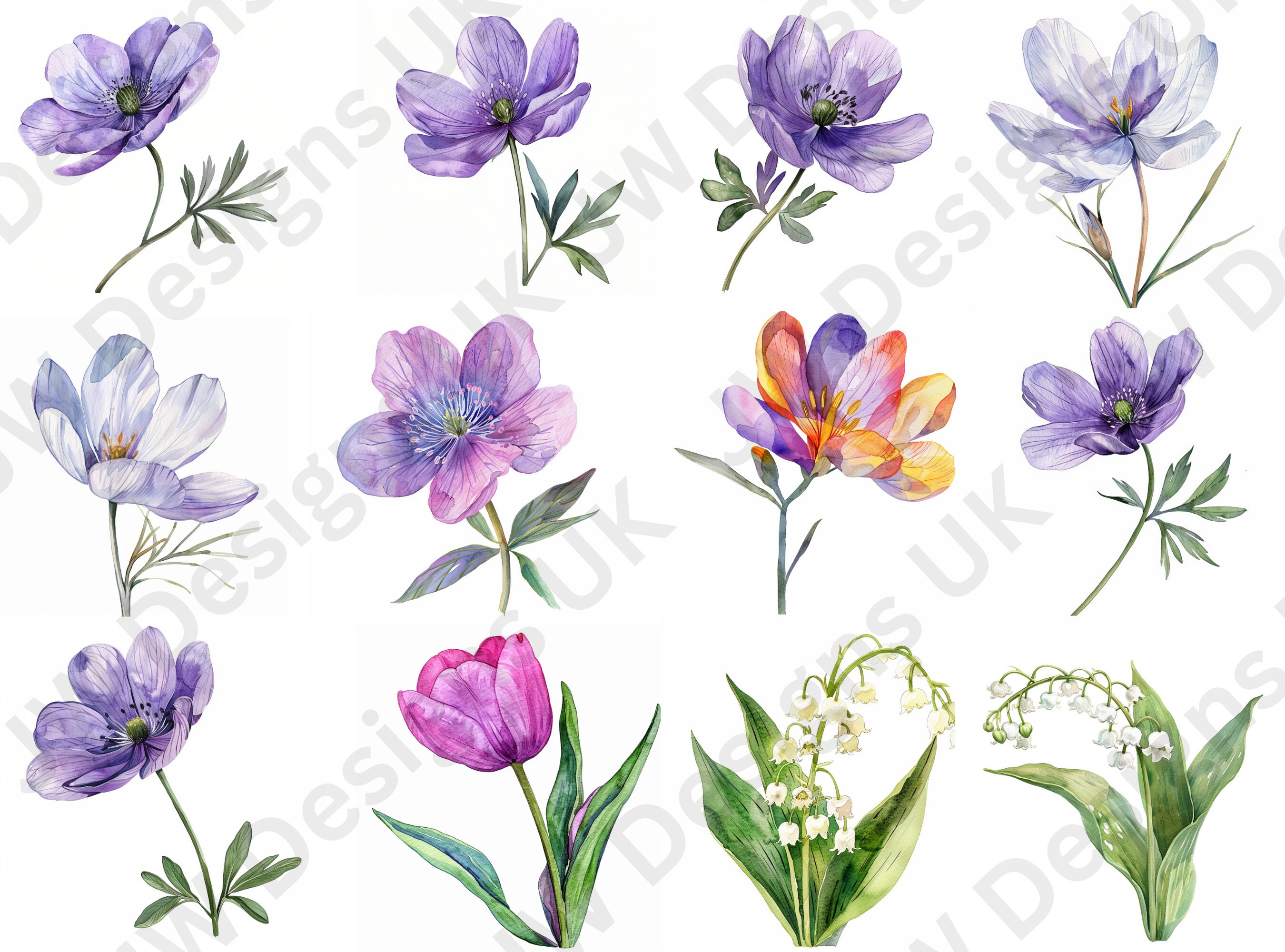 Watercolor Spring Flower Clipart Wildflower Spring Flowers PNG ...
