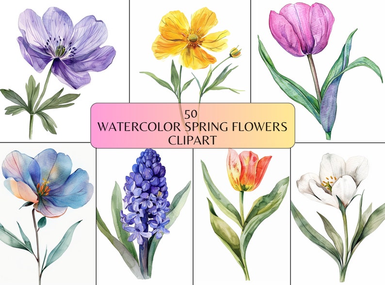 Watercolor Spring Flower Clipart Wildflower Spring Flowers PNG ...