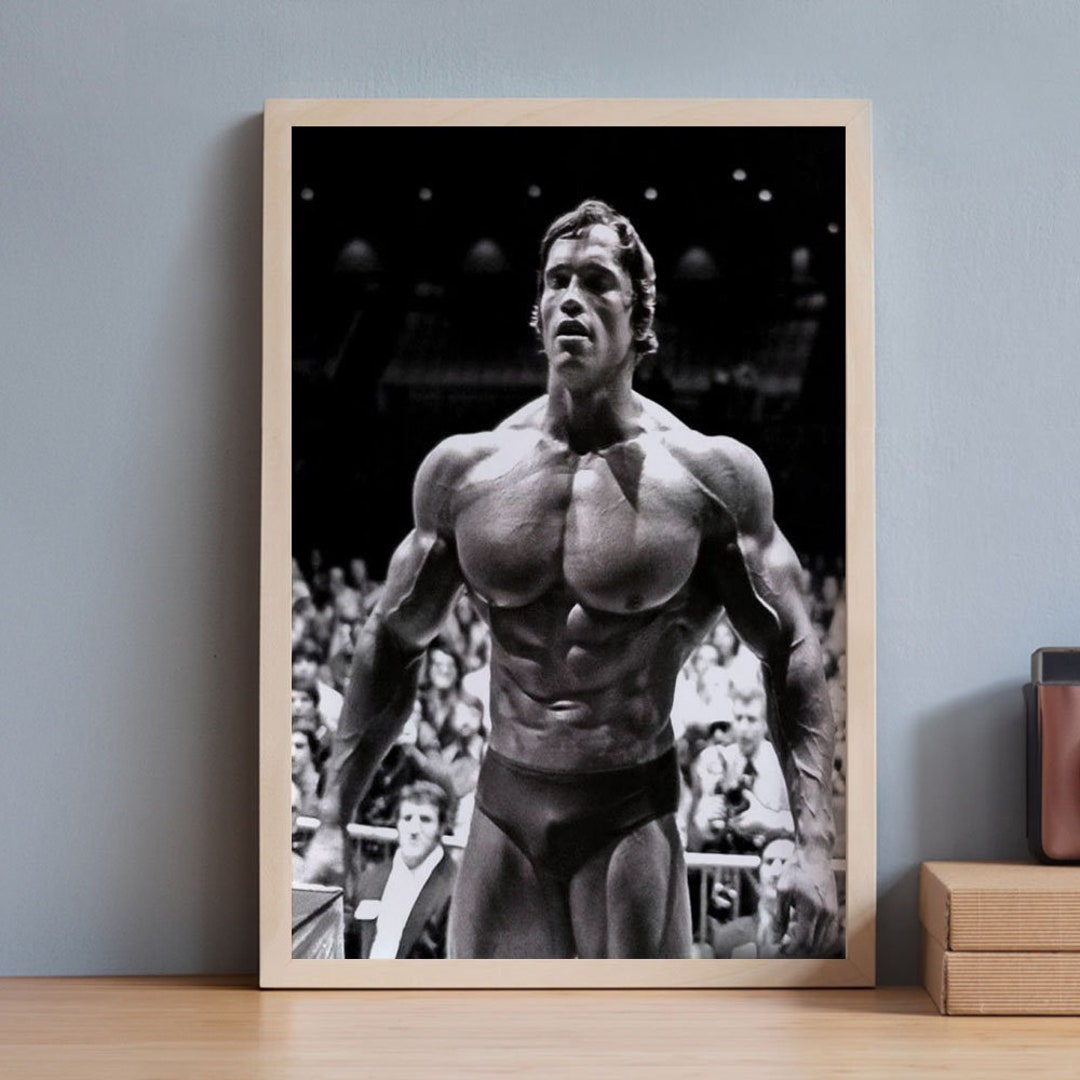 Arnold Schwarzenegger Bodybuilding Fitness Silk Poster,unique Home ...