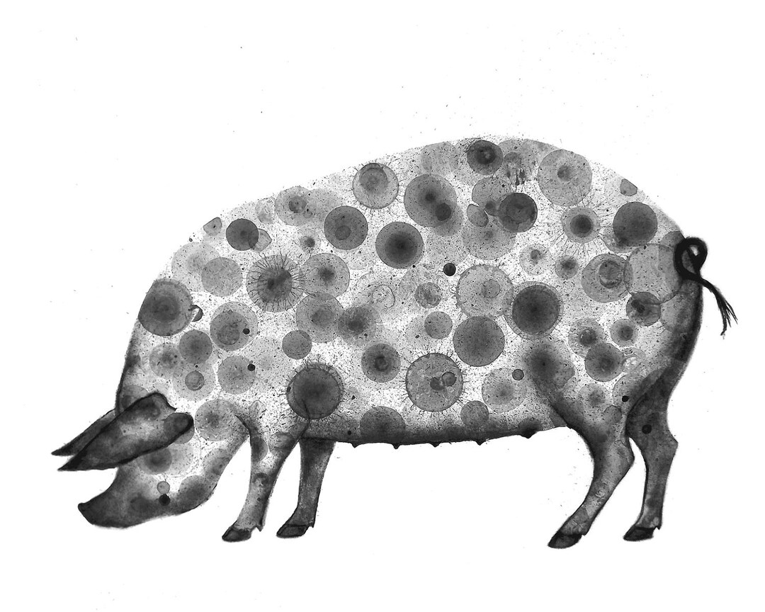 Pig Print 8X10 Kitchen Art - Etsy