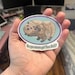 Hyrax Taco Bell Vinyl Sticker - Etsy