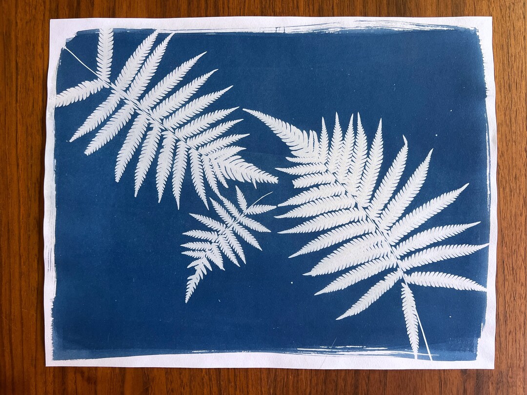 Original Handmade Cyanotype Wall Art: Summer Ferns - Etsy