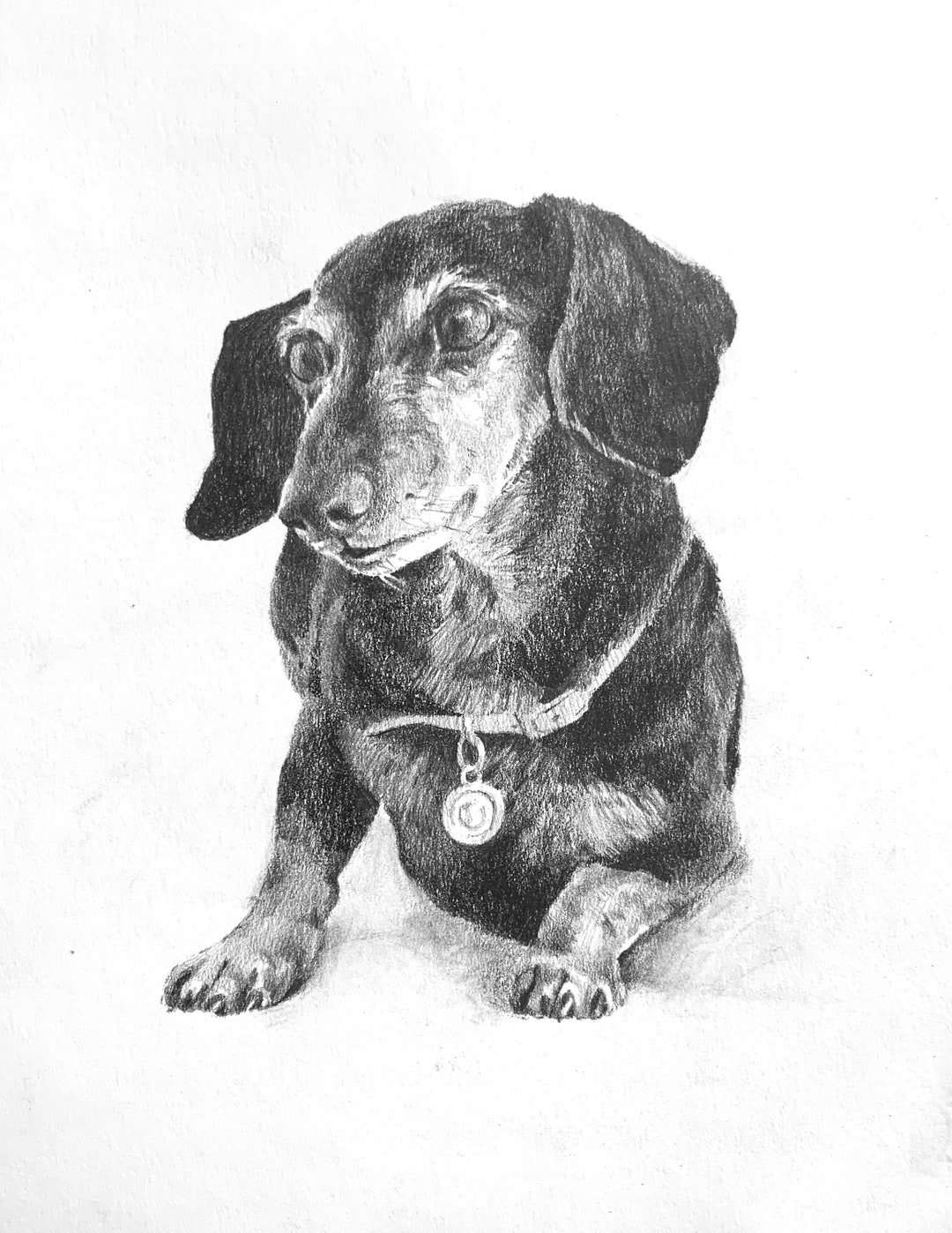 Custom Pet Portraits in Pencil - Hand-drawn Personalized Artworks for ...