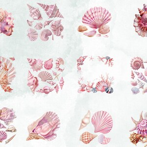 Pink Shells Clipart, Seashell Frames PNG, Digital Print Ocean-themed ...