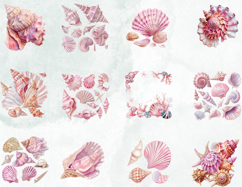 Pink Shells Clipart, Seashell Frames PNG, Digital Print Ocean-themed ...