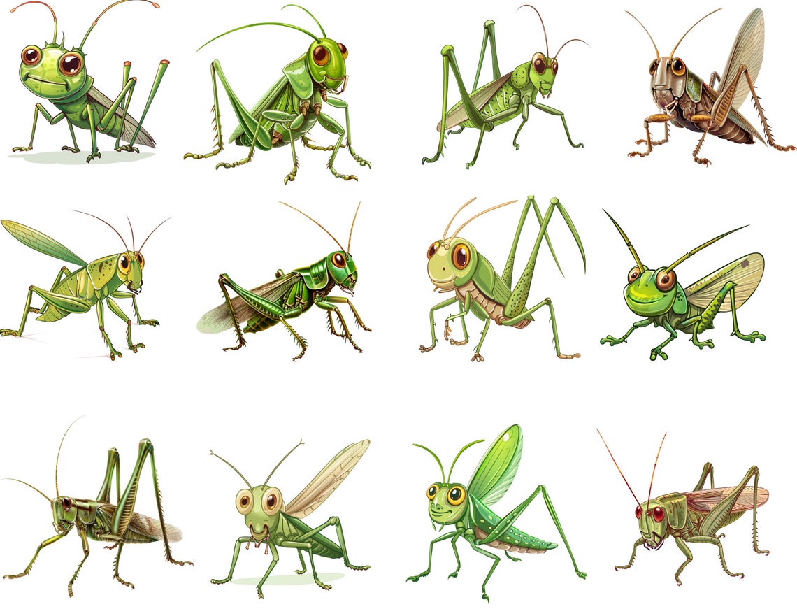 Clipart Pretty Crickets Set | Cute Insect 45 PNG | Digital Green ...