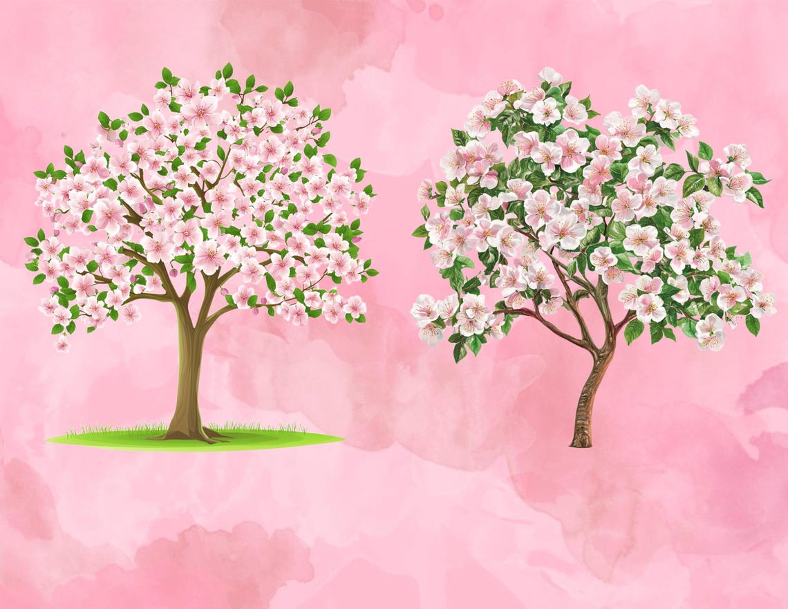 Flowering Tree Clipart, Spring Tree PNG, Spring Blooming Tree Clipart ...