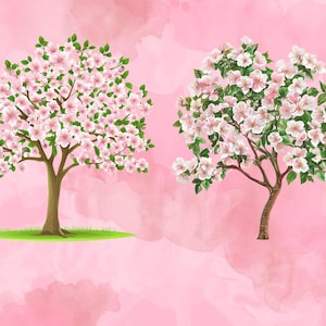 Flowering Tree Clipart, Spring Tree PNG, Spring Blooming Tree Clipart ...