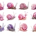 Adorable Snail Clipart Bundle | Cute Snails Graphics | Colorful Snails ...