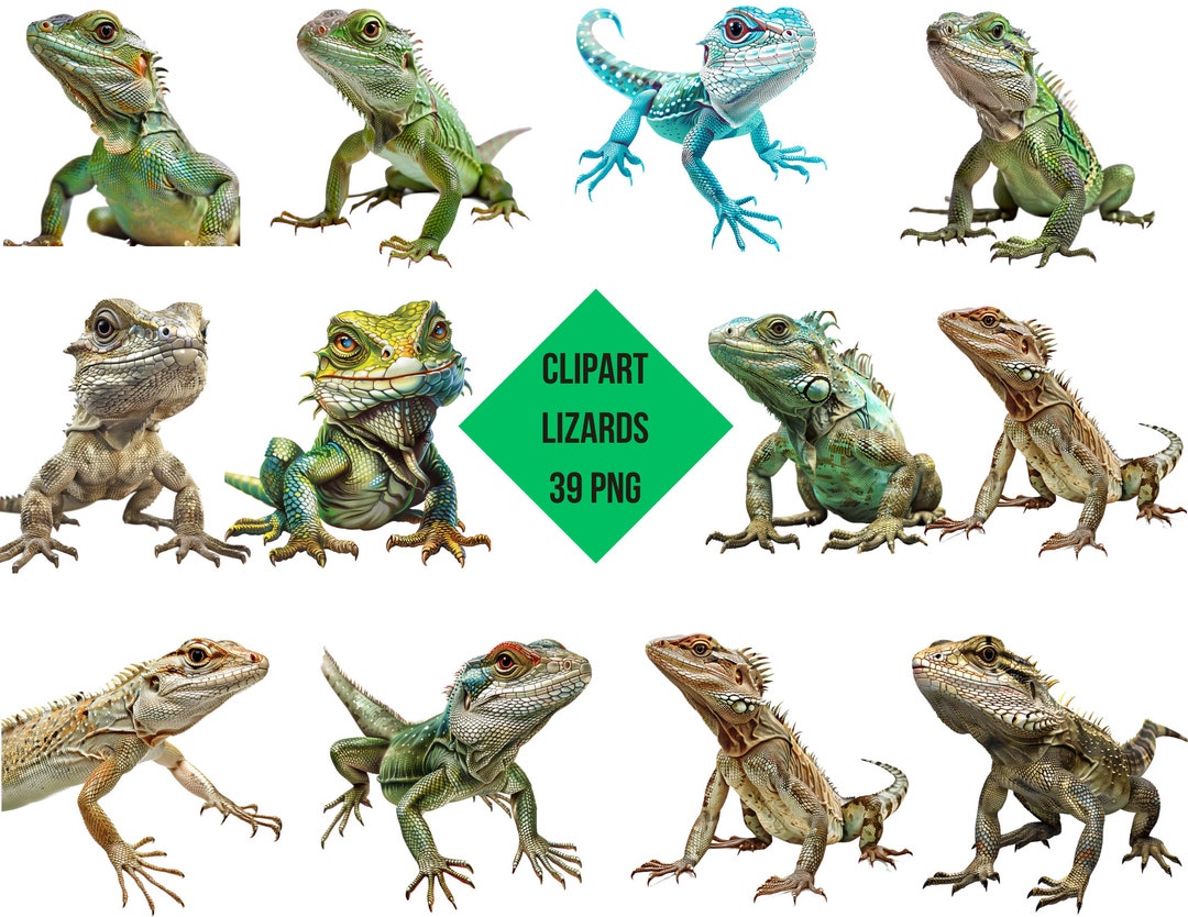 Clipart Lizards | Lizards PNG | Digital Print Lizards | Transparent ...