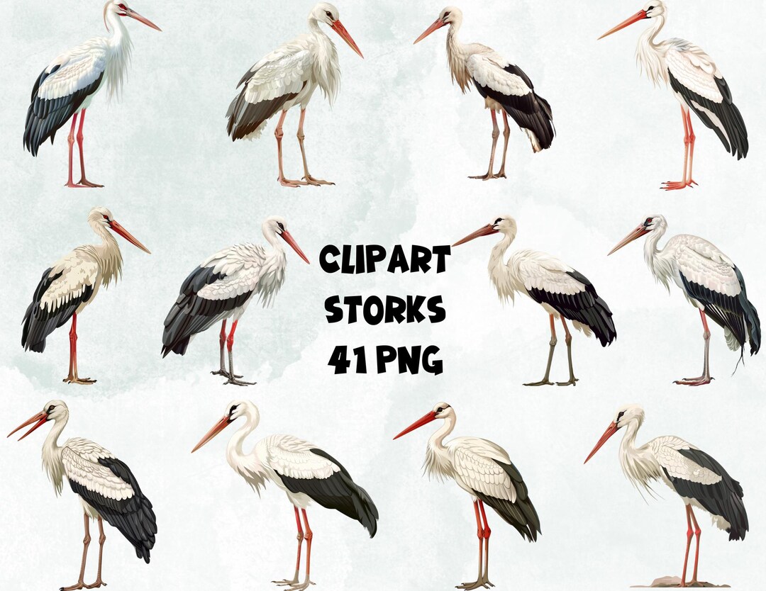 Clipart Pretty Storks | Set of 41 PNG Images | Storks Illustrations ...