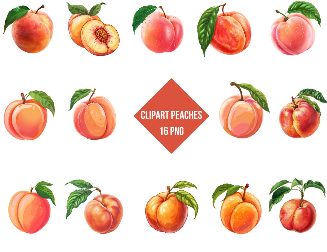 Peach Clipart Set | Summer Fruit PNG Graphics (instant Download ...