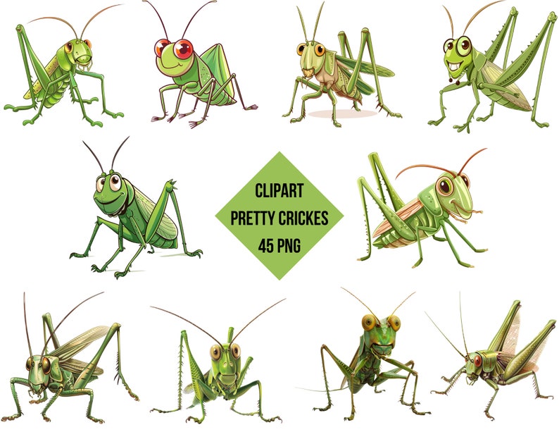 Clipart Pretty Crickets Set | Cute Insect 45 PNG | Digital Green ...
