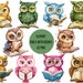 Clipart Owls With Books | Pretty Owls PNG | Digital Print Cute Owls ...