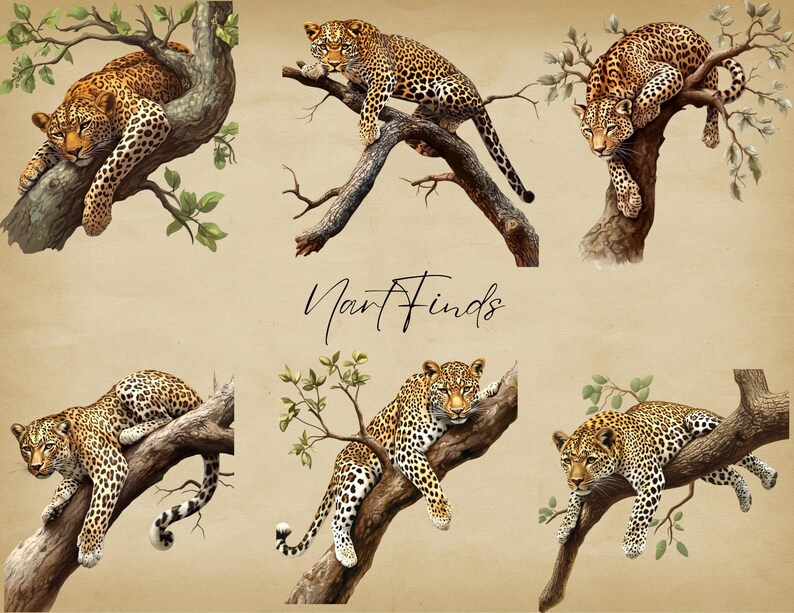 Leopard Clipart Set: Floral Jungle Animals (digital Download) - Etsy