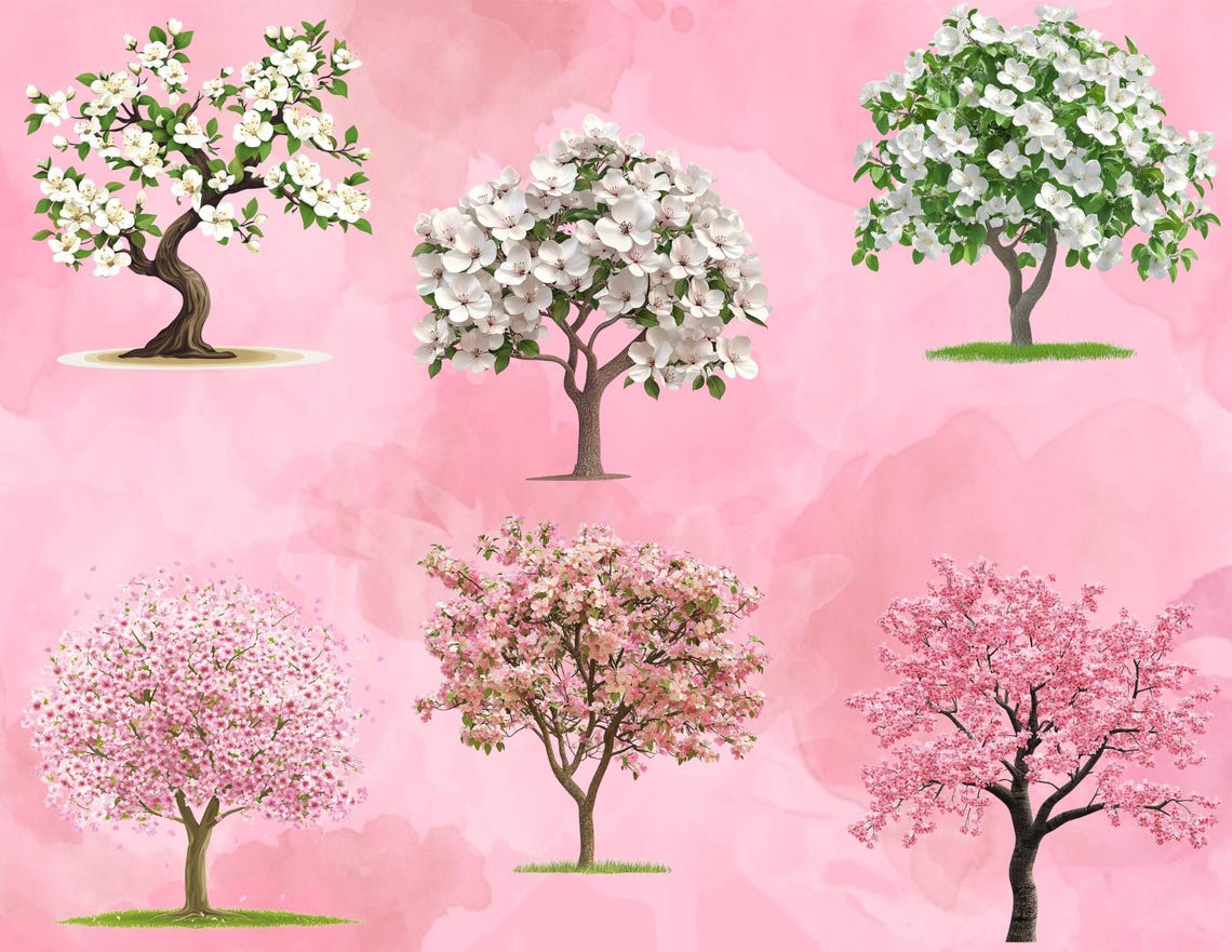Flowering Tree Clipart, Spring Tree PNG, Spring Blooming Tree Clipart ...