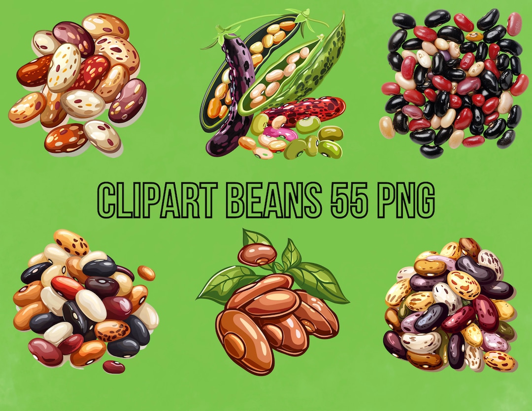 Clipart Beans | Digital Illustration Varieties of Beans | Transparent ...