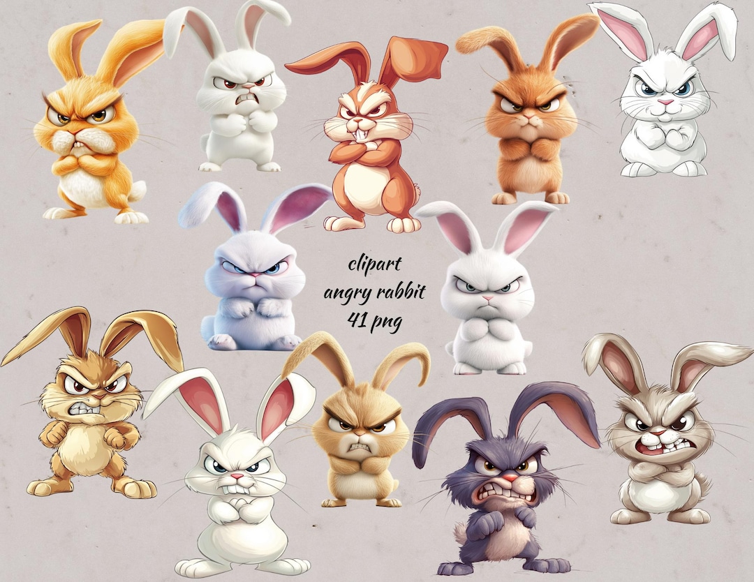 Angry Bunny Clipart Bundle: Grumpy Rabbit Pngs (commercial Use) - Etsy