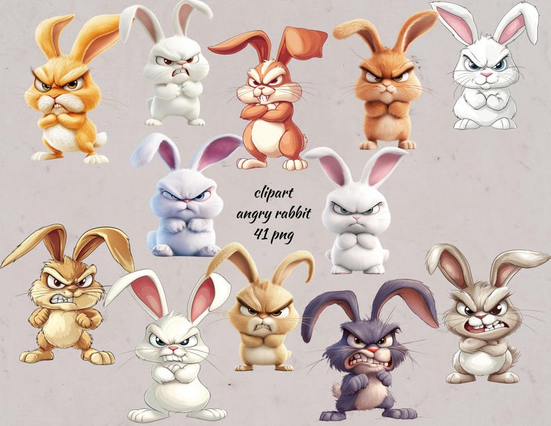 Angry Bunny Clipart Bundle, Grumpy Bunny PNG, Digital Funny Rabbit ...