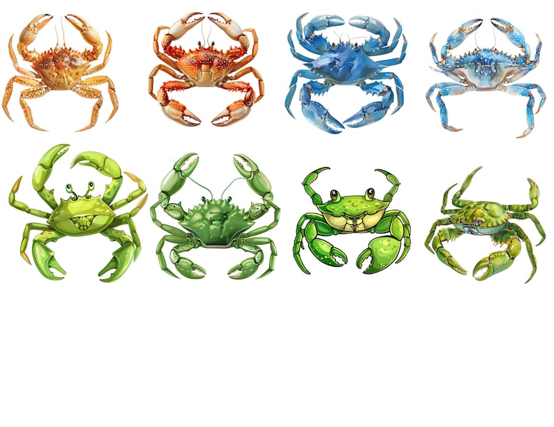 Clipart Pretty Crab Set | Colorful Crab PNG | Digital Print Pretty Crab ...