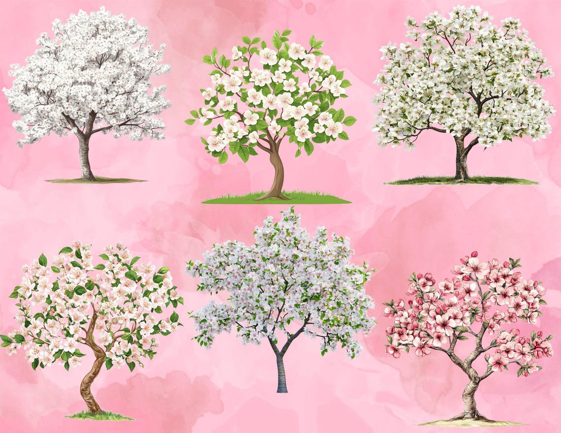 Flowering Tree Clipart, Spring Tree PNG, Spring Blooming Tree Clipart ...