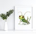 Clipart Pretty Crickets Set | Cute Insect 45 PNG | Digital Green ...