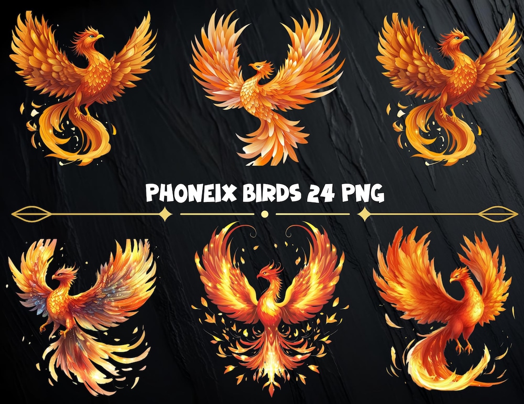 Phoneix Birds Set Clipart | Phoneix Designs 24 PNG | Digital Print ...